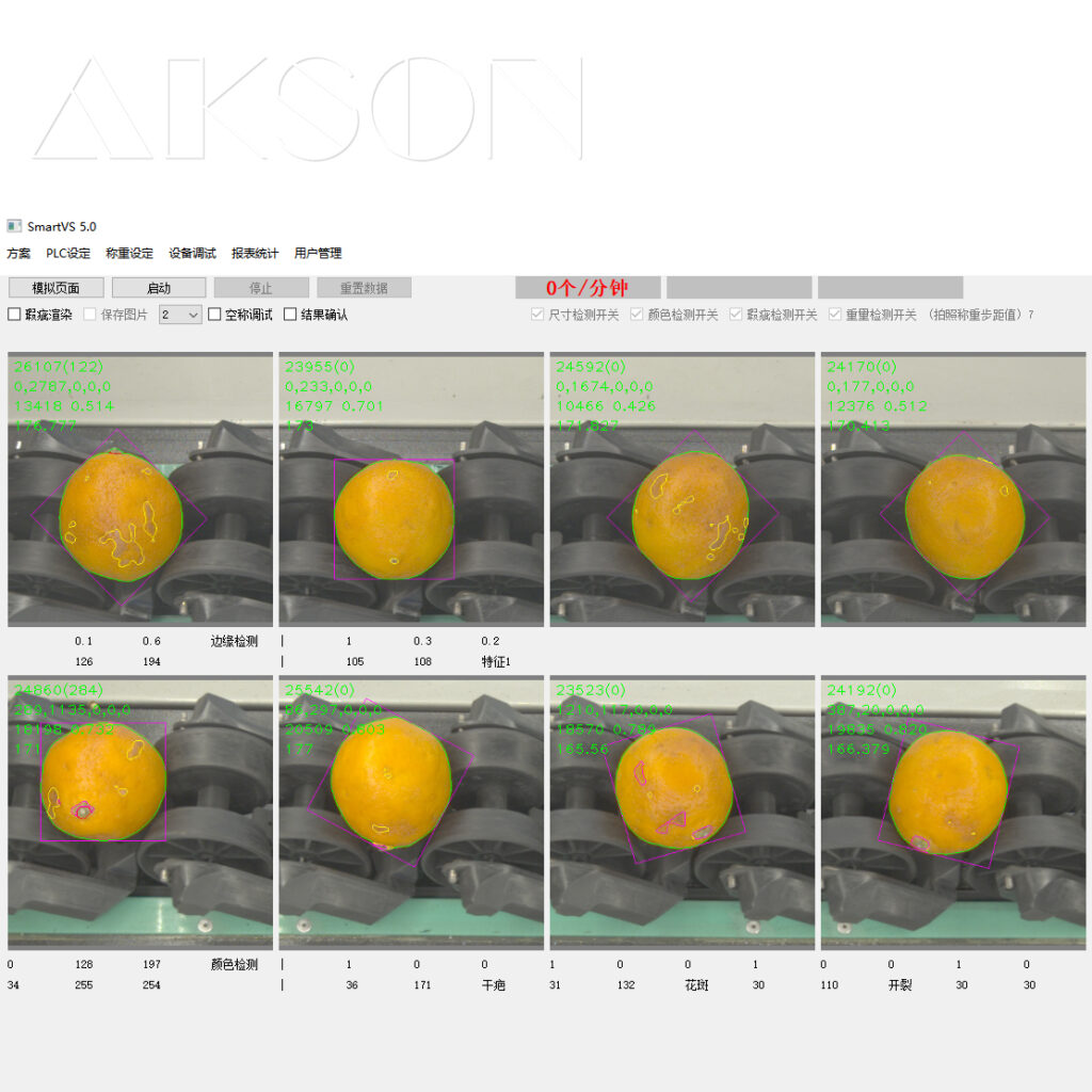 Introduction to visual control system | Apple Vision Sorting